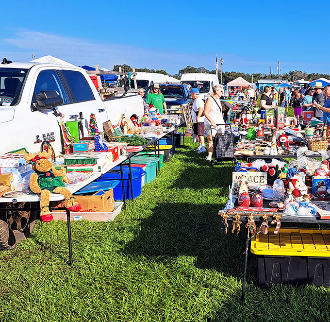 Treasure hunting in the Florida sunshine! Rows of tables laden with potential discoveries stretch into the distance at Swap-O-Rama, where one person's castoffs become another's prized possessions.