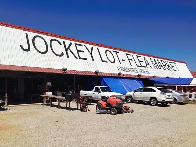 The unassuming exterior of Lafayette Jockey Lot belies the treasure trove within—like finding a five-star meal at a gas station, the best surprises come in humble packages.