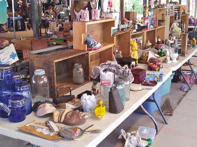 Rows of art, jars, and artifacts fill Milton Flea Market, where treasures of all kinds await discovery around every corner