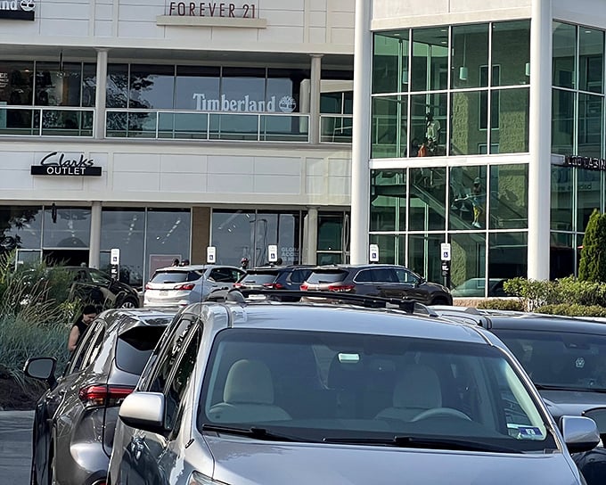 The retail promised land awaits! Timberland, Forever 21, and Clark's Outlet beckon shoppers with the siren song of serious savings.