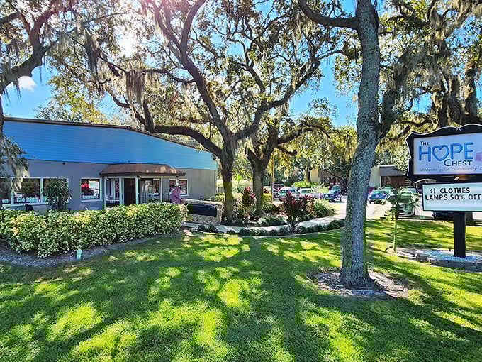 The HOPE Chest welcomes bargain hunters under Florida's majestic oak trees, where Spanish moss frames this unassuming treasure trove like nature's own price tag.