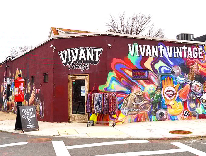 Like a fever dream designed by color-loving time travelers, Vivant Vintage's façade stands out in Allston like a peacock at a business meeting.