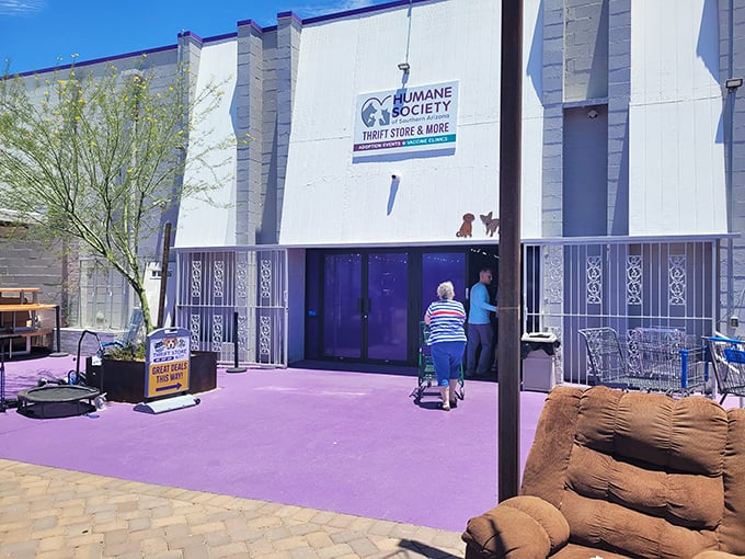 The purple carpet welcomes you like royalty to this unassuming treasure palace. Who knew saving animals could look so invitingly boxy?