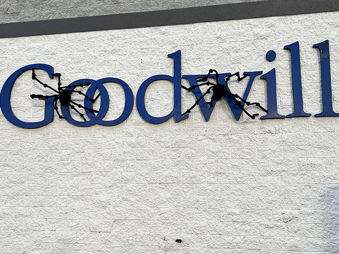 At this Goodwill, the only thing scarier than the spiders is how good the deals are.