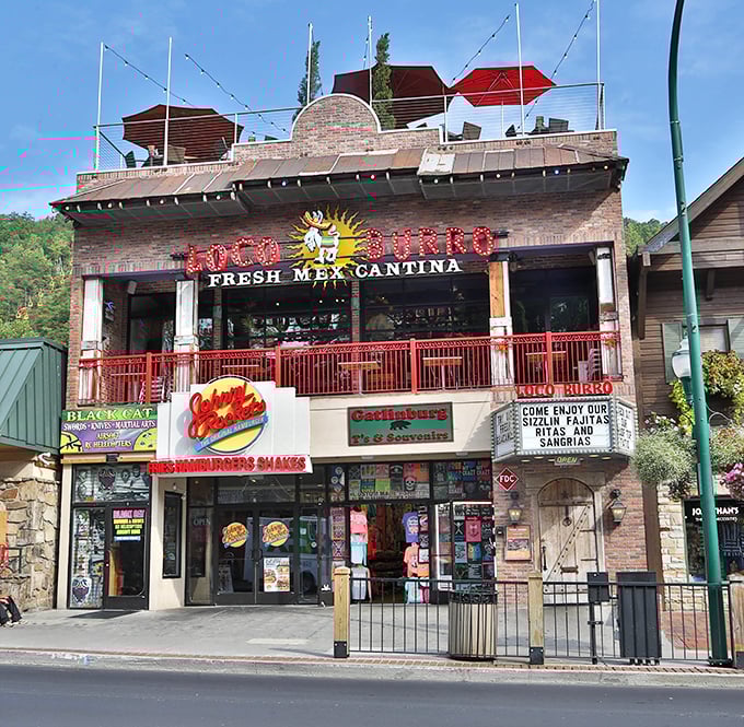 Loco Burro's vibrant exterior stands out on Gatlinburg's bustling Parkway, promising Mexican flavors with that unmistakable mountain backdrop. Vacation perfection awaits!