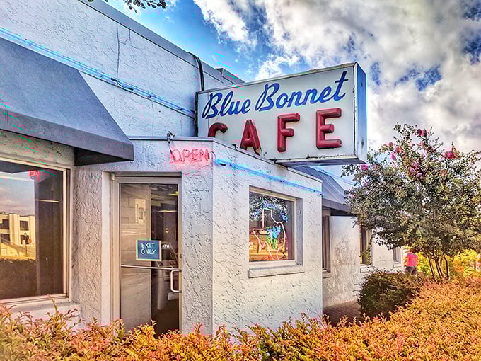 The iconic Blue Bonnet Cafe sign has welcomed hungry Texans for generations. Simple white building, extraordinary reputation—like that unassuming friend who turns out to be a culinary genius.