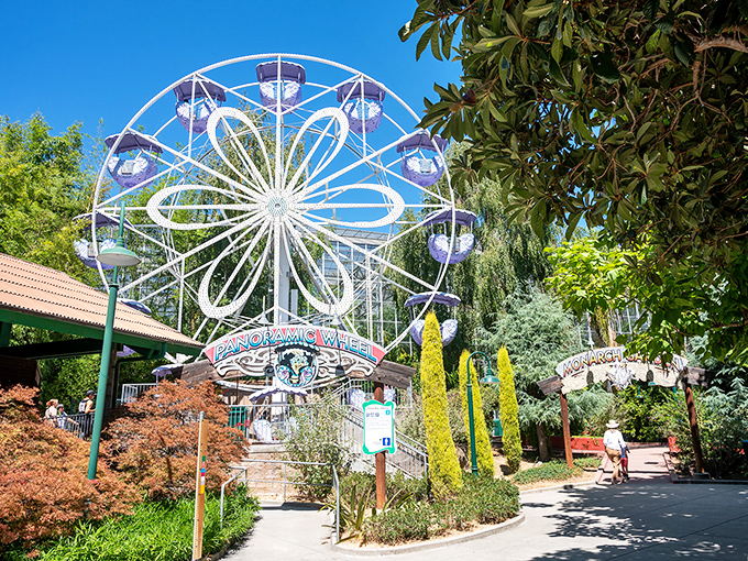 The Panoramic Wheel stands like a floral masterpiece among the greenery, proving that Ferris wheels are simply more magical when surrounded by gardens instead of carnival barkers.