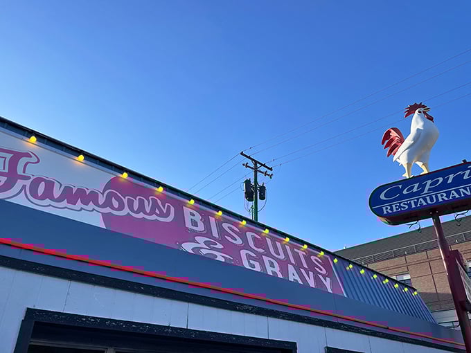 The iconic rooster stands sentinel over Fairview Avenue, beckoning hungry travelers to Capri's comfort food paradise. No GPS needed—just follow the chicken.