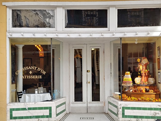 That Angelo Brocato mosaic in the entryway isn't a mistake – it's a delicious layer of New Orleans history underfoot.