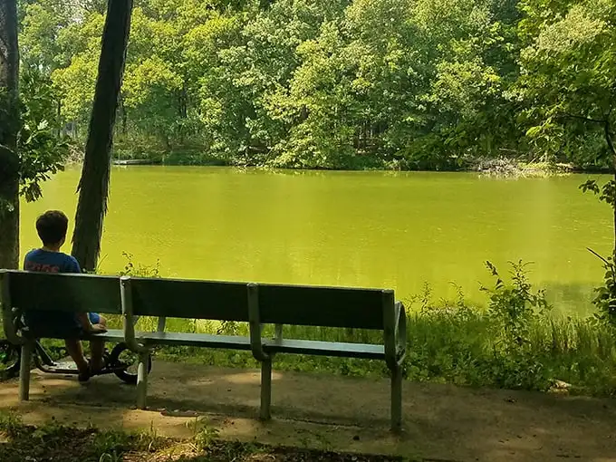 That bench isn't just offering a seat; it's selling front-row tickets to nature's most peaceful show – no subscription required.