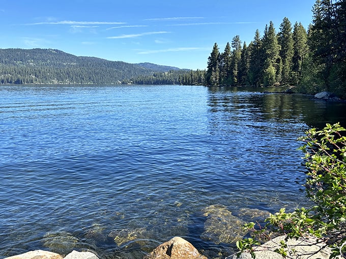 Crystal clear waters of Payette Lake meet towering pines, creating nature's perfect mirror. This isn't Photoshop—it's just another Tuesday in McCall.