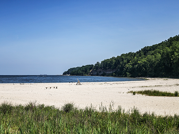 Where the forest meets the bay, Flag Ponds offers a pristine stretch of Chesapeake shoreline that feels worlds away from city life.
