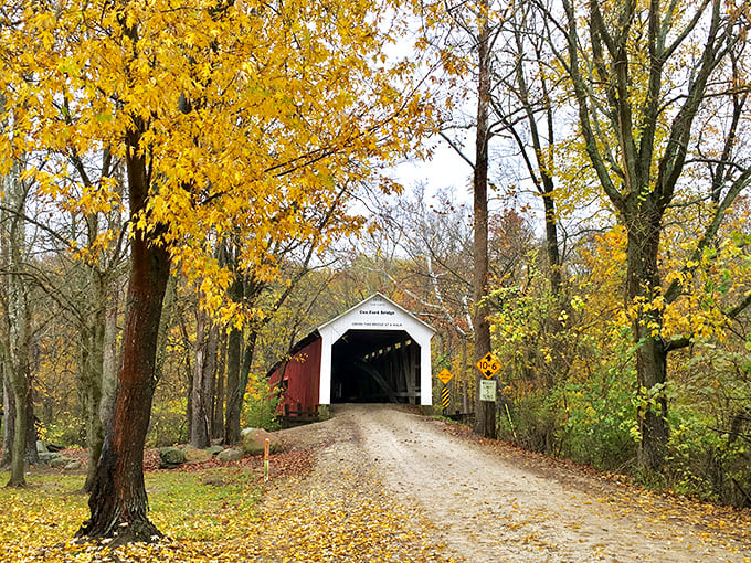 Fall's golden touch transforms this historic treasure into a scene straight from a Hallmark movie. Mother Nature really showing off her decorating skills here.