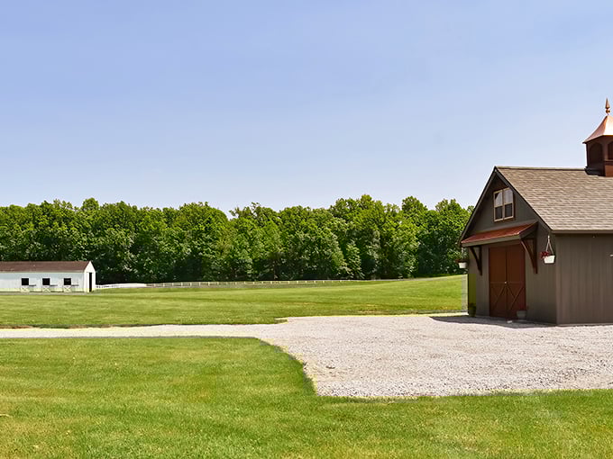 Summer serenity in full display. The pristine white fences and meticulously maintained grounds create a pastoral paradise that belongs on a calendar cover.