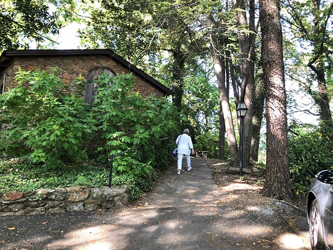 Follow the winding path through towering trees to discover this hidden culinary gem—nature's perfect appetizer before the feast within.