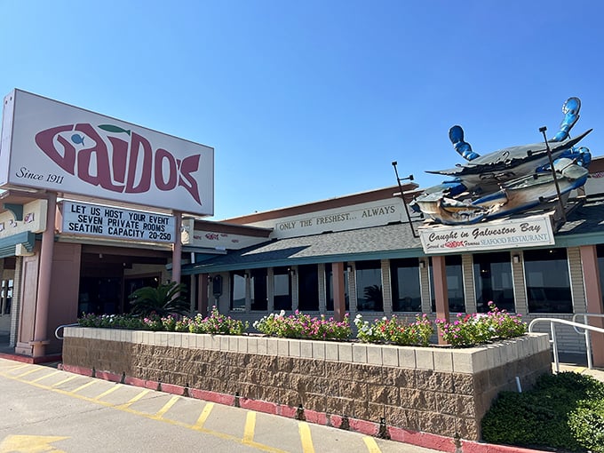 The iconic red Gaido's sign welcomes seafood pilgrims like a lighthouse guiding hungry sailors home. That giant blue crab isn't just decoration—it's a promise.