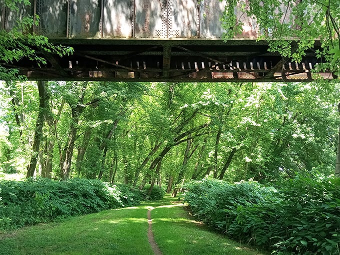 Sunlight filters through a canopy of green as a trail winds beneath an old bridge, offering a quiet escape into Pennsylvania’s wild beauty.
