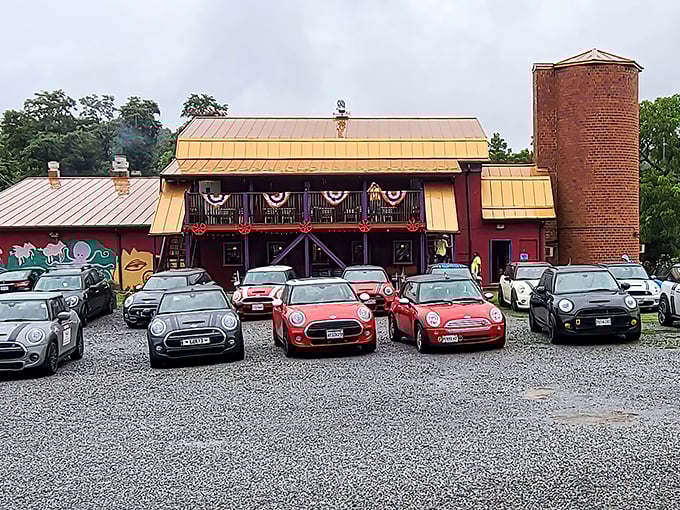 The copper-topped exterior of Cuz's with its distinctive red silo isn't just a restaurant—it's a beacon for steak lovers and Mini Cooper enthusiasts alike.