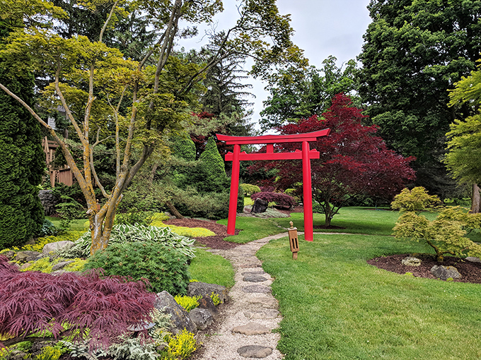 A winding stone bridge crosses tranquil waters in this Japanese-inspired corner of Schedel Gardens, where every path promises new discoveries.