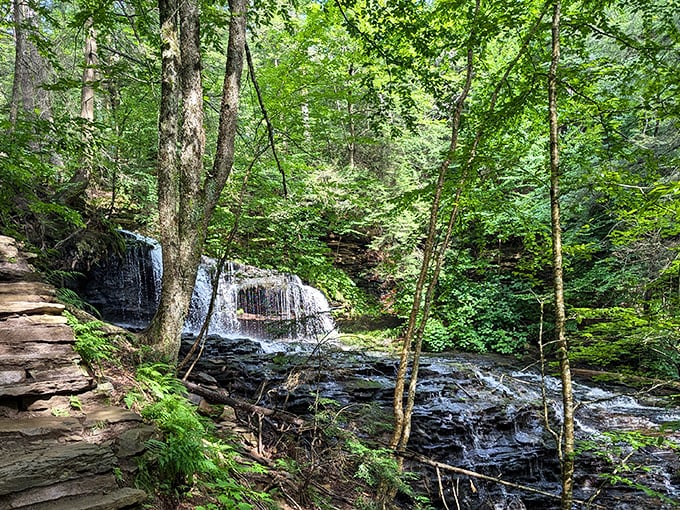 Nature's staircase leads you to hidden treasures. The stone steps and cascading waters create a symphony that even Mozart would envy.