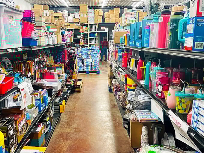 Aisles stacked high and deals around every corner—Bickel’s Surplus Too is the kind of place where bargain hunters come for one thing and leave with a cart full of surprises.