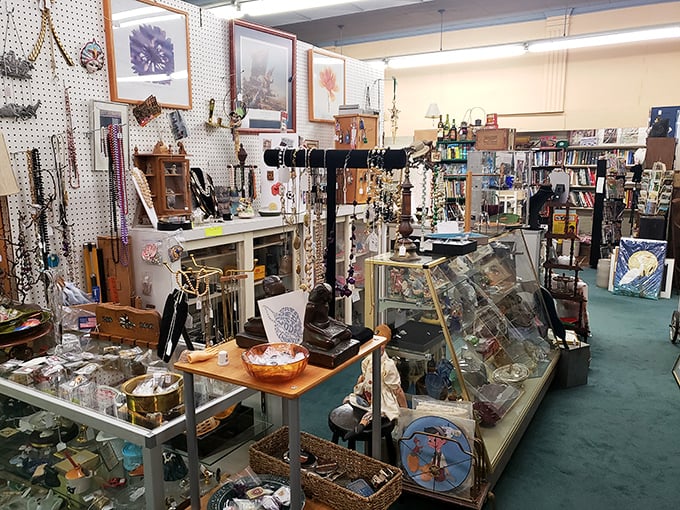 A treasure hunter’s first glimpse of paradise! Inside Staunton’s vintage wonderland, every shelf and glass case overflows with curiosities just waiting to be rediscovered.