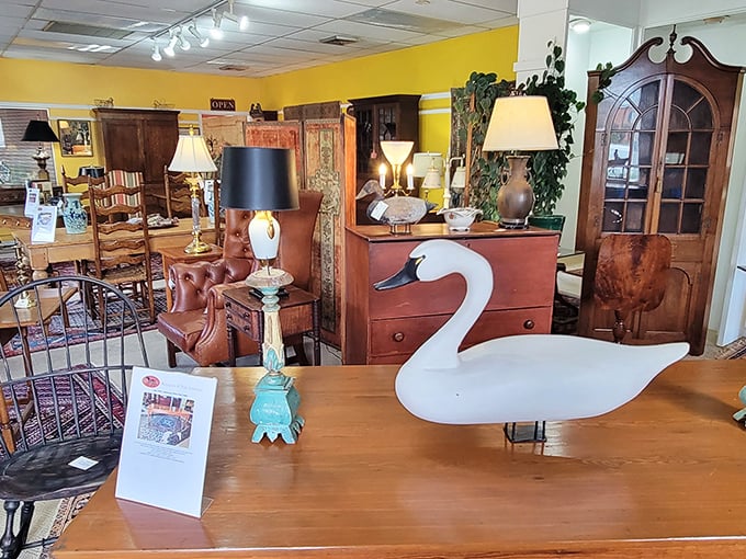 Where treasures await! This sunny showroom at Melrose Antiques features everything from decorative swans to rich mahogany furniture, all begging to tell their stories.
