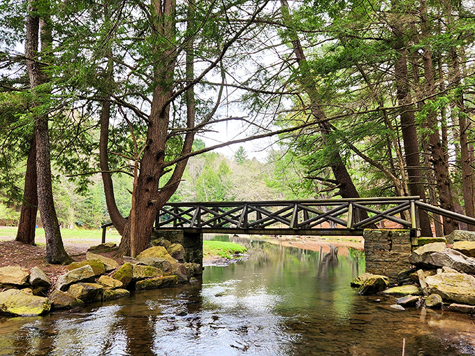That wooden bridge isn't just crossing water—it's crossing from your stressed-out life to nature's therapy session. No co-pay required.