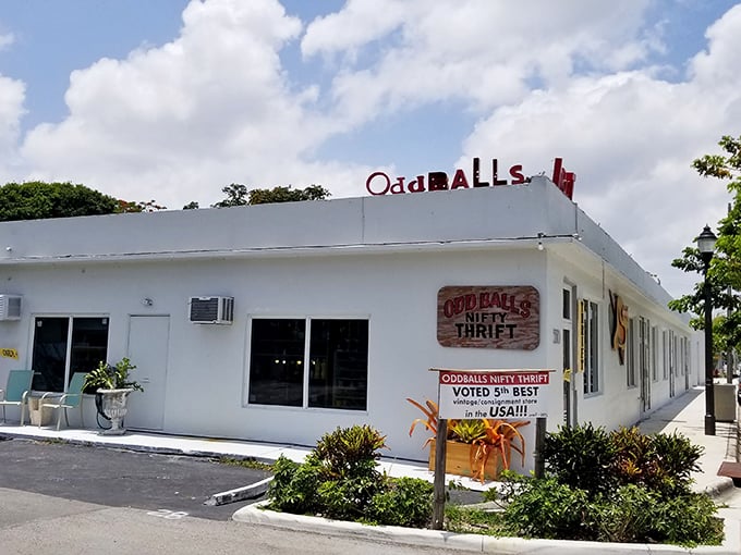 The unassuming exterior of OddBalls belies the wonderland within—like finding a portal to retail Narnia behind a humble white façade.