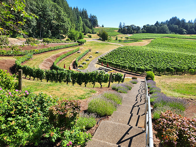 Lavender borders and meticulously maintained pathways invite you to wander through a landscape that looks like Tuscany's Pacific Northwest cousin.