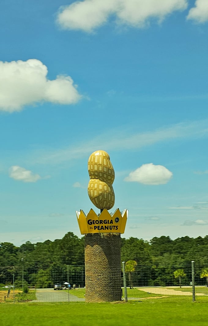 The crown jewel of Ashburn's skyline! Georgia's peanut pride stands tall against a perfect blue sky, beckoning road-trippers to make an unscheduled pit stop.