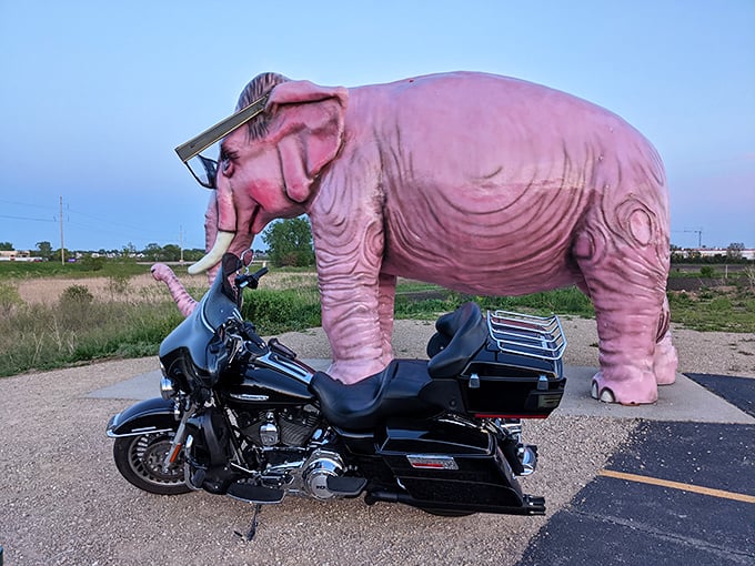 Wisconsin's most scholarly pachyderm stands guard along Highway 51, proving everything looks better in pink and oversized glasses.