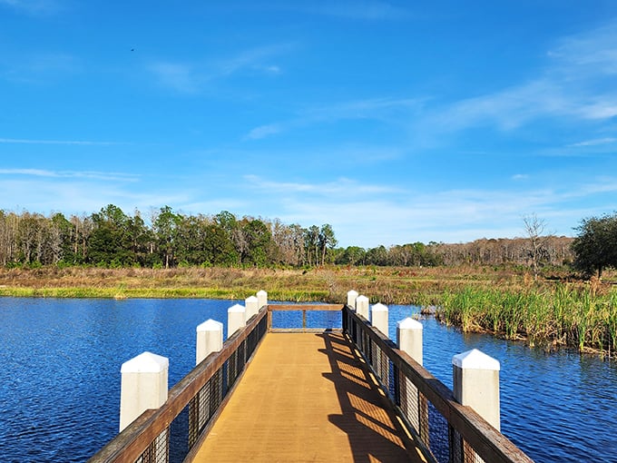 The wooden boardwalk stretches into serenity, inviting you to leave your worries on shore and venture into Florida's untamed beauty.