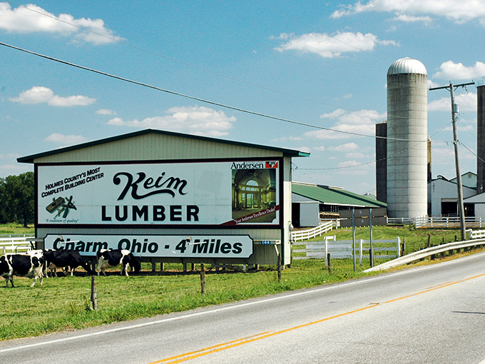 "Holmes County's Most Complete Building Center" isn't just a slogan—it's a promise. Keim Lumber stands as a beacon of craftsmanship amid grazing Holstein cows.