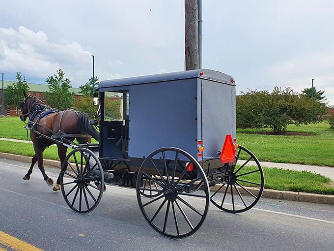 The quintessential Bird-in-Hand moment—an Amish buggy rolling steadily along the road, where simple living still guides the pace of everyday life.
