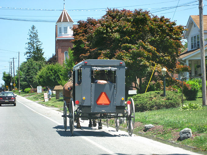 Life in the slow lane never looked so good – buggies and trees creating perfect harmony.