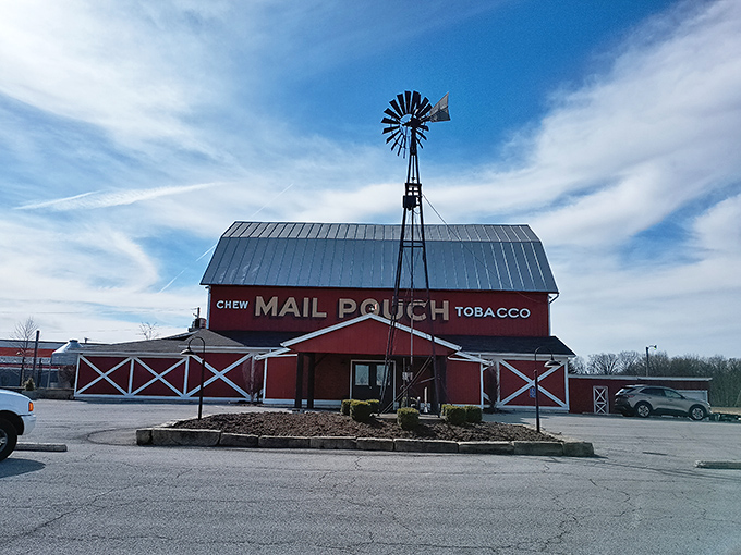 The iconic red barn with its Mail Pouch Tobacco sign and spinning windmill stands proudly against the Ohio sky—rural Americana at its finest.