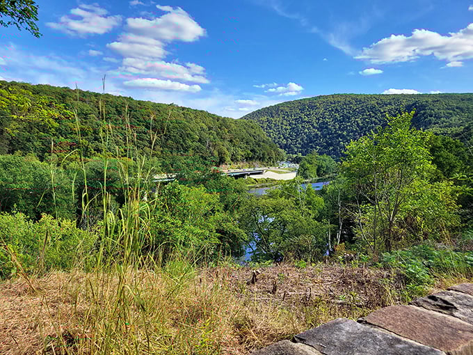 Nature's own IMAX theater, where the Delaware landscape unfolds in panoramic splendor. No ticket required, just willing eyes.