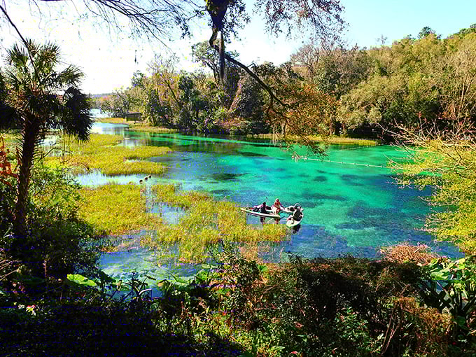 Nature's own watercolor masterpiece – the headspring at Rainbow Springs where that impossible blue-green hue isn't Photoshopped, it's just Florida showing off.