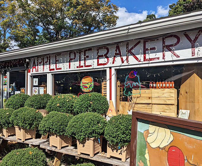 With its hand-painted sign and cheerful neon lights, Apple Pie Bakery radiates small-town charm—the kind of place where every slice tastes like home.