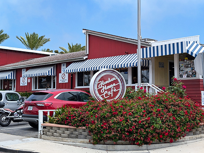 The iconic red exterior with blue-and-white striped awnings stands out like a culinary lighthouse on PCH, beckoning hungry travelers to drop anchor.