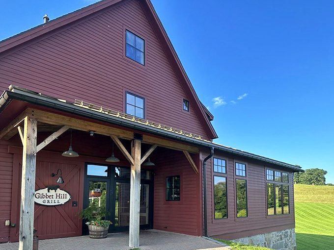 The iconic red barn exterior of Gibbet Hill Grill stands proudly against rolling Massachusetts countryside—farm-to-table dining in its most literal form.