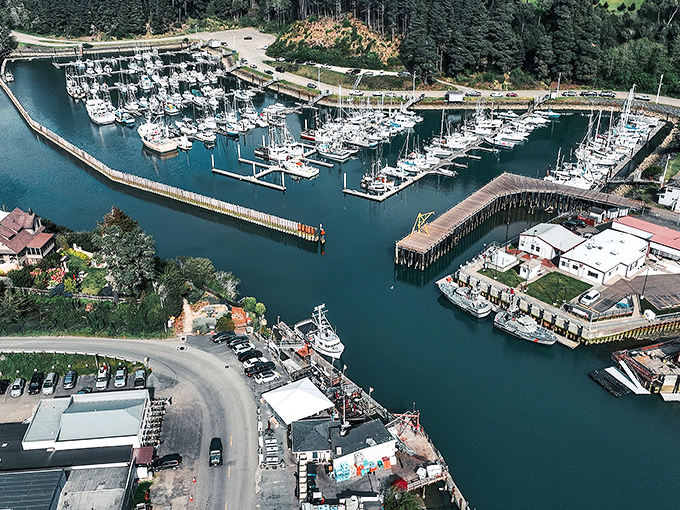Noyo Harbor isn't just a pretty postcard—it's a working fishing port where your seafood dinner was likely swimming just hours before landing on your plate.