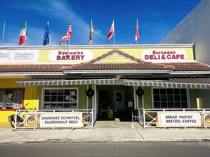 International flags flying high, because good pastry knows no borders and neither should your appetite for adventure.