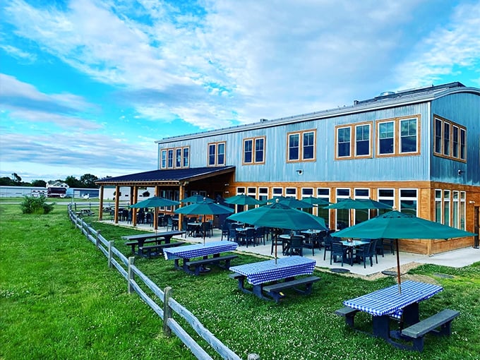 Blue skies, blue building, and blue-checkered picnic tables—this place understands the importance of thematic consistency and outdoor dining perfection.