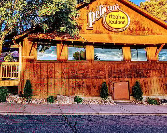 Bathed in golden New Mexico sunlight, Pelican's weathered timber facade feels like a coastal shack that took a wrong turn at Albuquerque—and thankfully stayed.