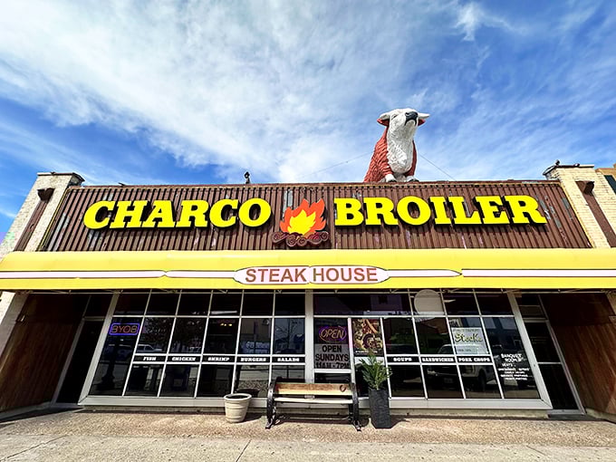 That iconic red steer perched atop the yellow signage isn't just decoration—it's a Texas-sized promise of what awaits inside.
