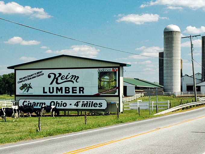 "Holmes County's Most Complete Building Center" isn't just a slogan—it's a promise. Keim Lumber stands as a beacon of craftsmanship amid grazing Holstein cows.