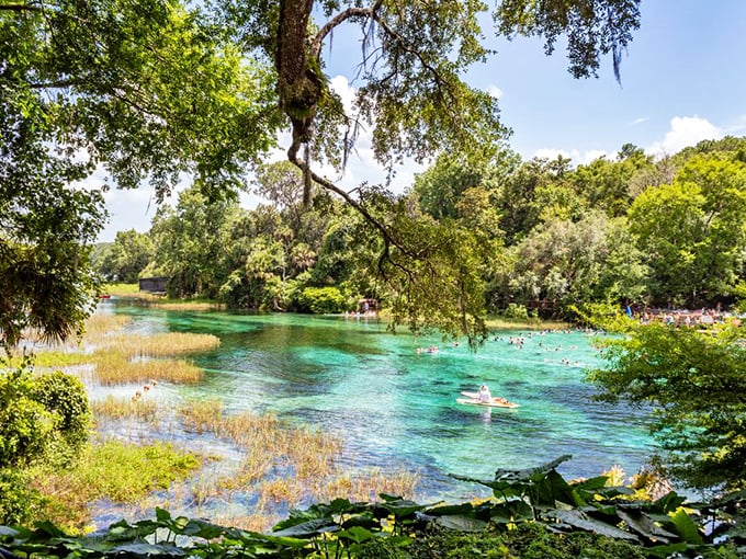 That jaw-dropping blue-green water? Not a filter — just Rainbow Springs proving Florida doesn’t need Photoshop.