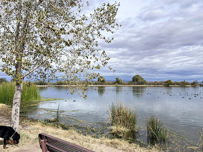 Mirror, mirror on the pond – the perfect reflection of Arizona's Pinaleño Mountains creates nature's most stunning double take.